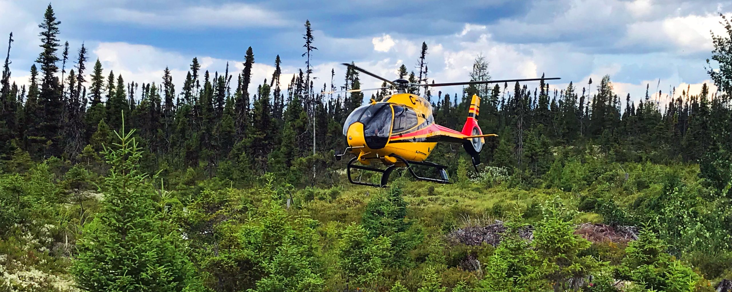 Special Update 2 - Delta Resources Limited